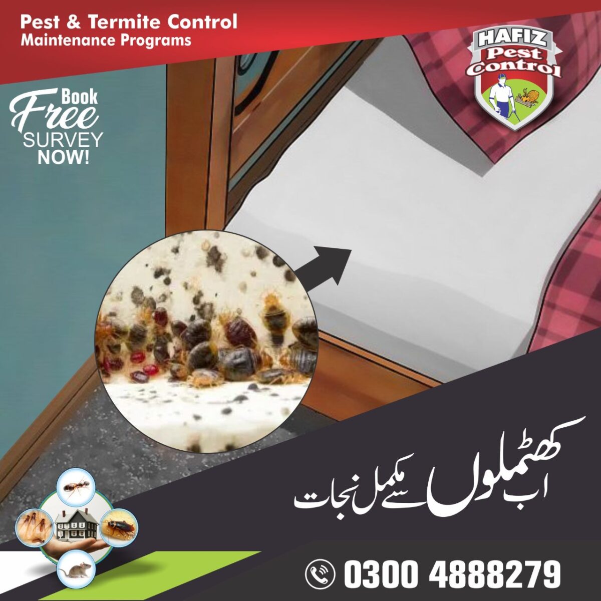 Termites Treatment - Deemak Pest Control Services in Lahore Islamabad
