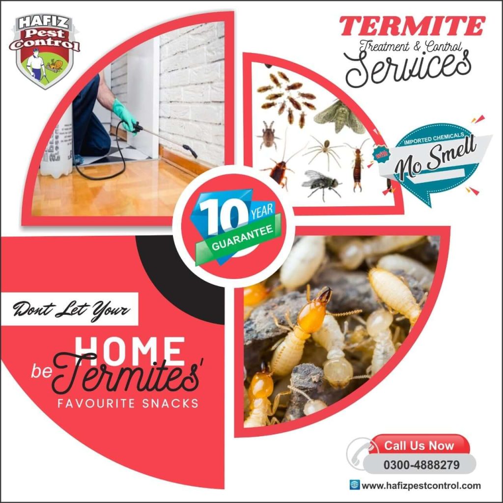 Pest & Termite Control Services Lahore & Islamabad, Pakistan